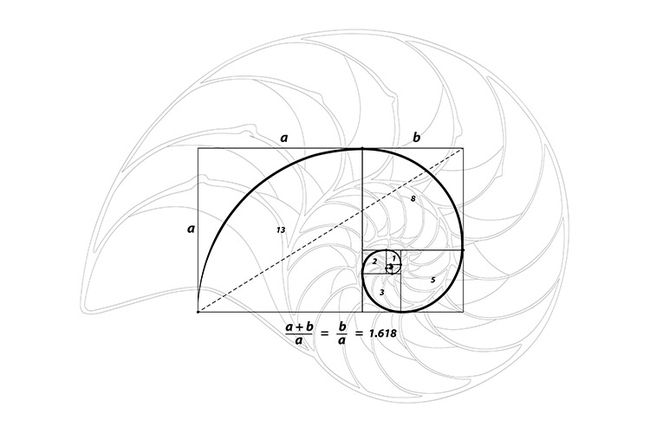 Understanding the Golden Ratio in Design and Photography