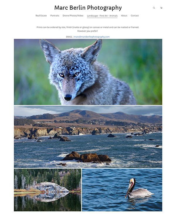 Best Nature Photography Portfolio Website Examples - Pixpa